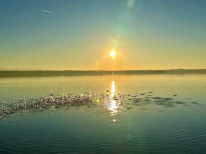 Ferienwohnung Starnberger See - Berg