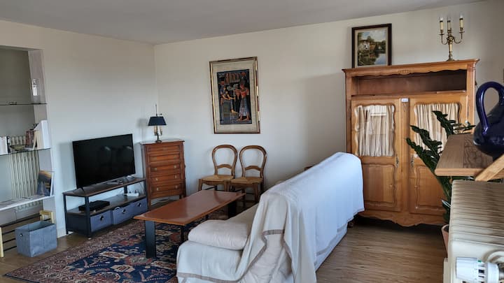 T3 Centre Ville Evian Les Bains Vue Lac - Bernex