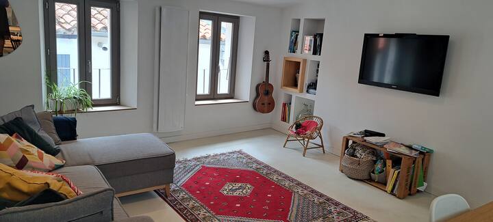 Les Mimosas Location Saisonnière - Céret