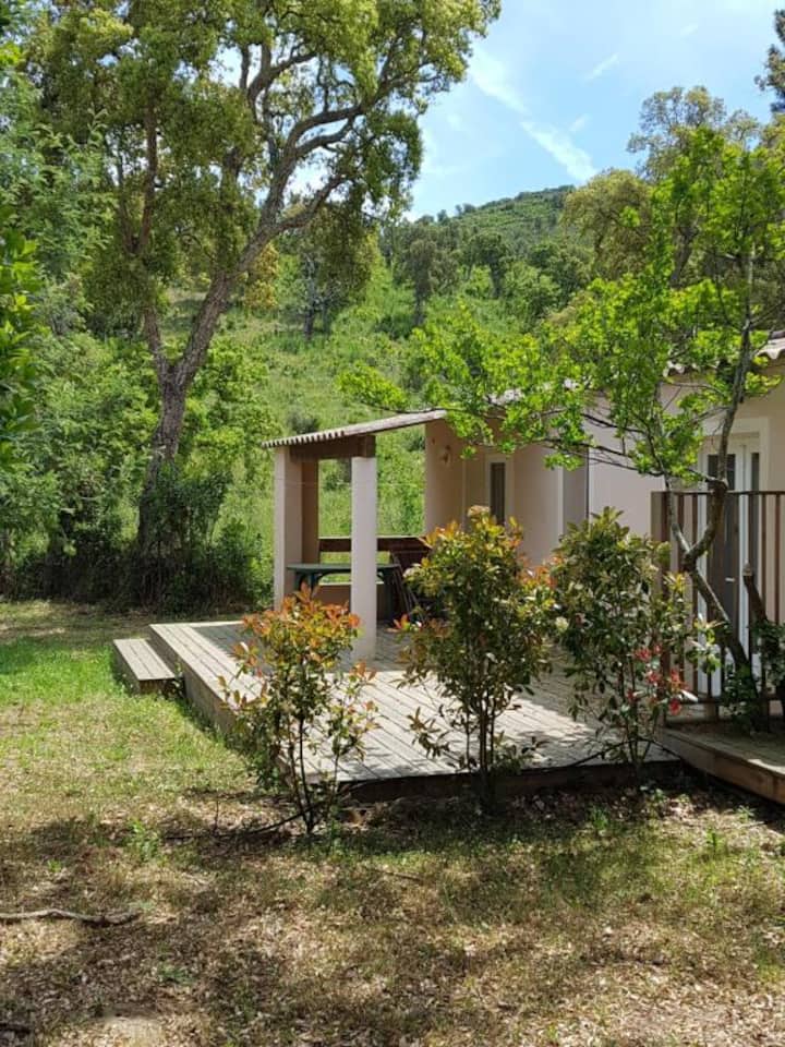 Bungalow Xxl Pour 2 Personnes - Solenzara