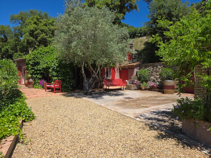 Maison Provençale à Ste-maxime - Sainte-Maxime