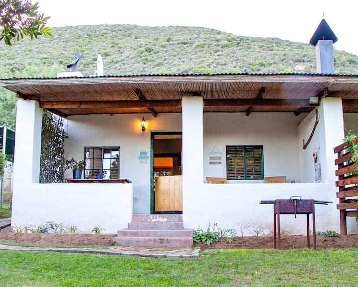 Kranskloof : Sunflower - Oudtshoorn