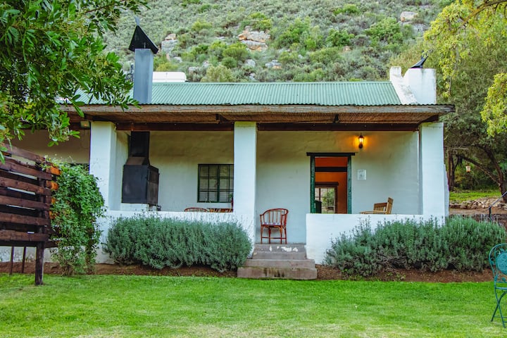 Kranskloof : Lavender - Oudtshoorn