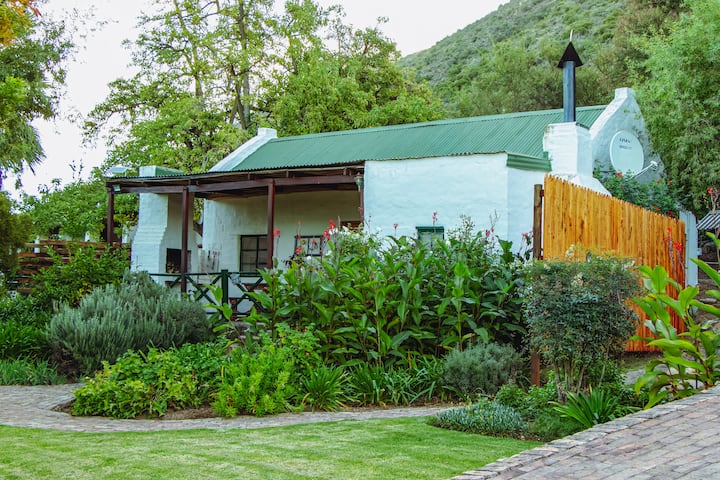 Kranskloof : Protea - Oudtshoorn