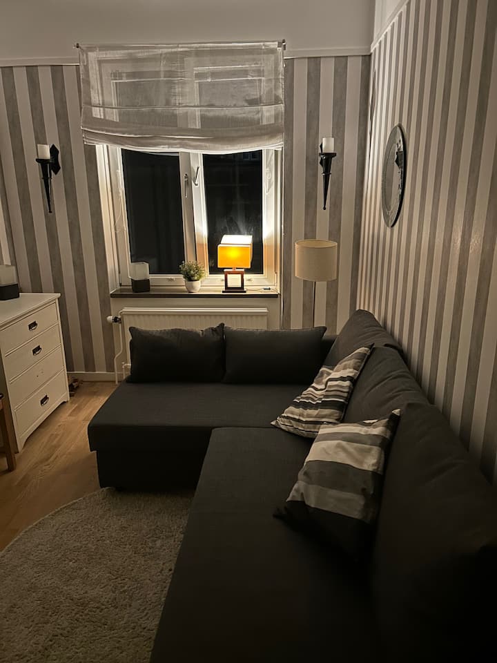 Eget Rum I Uppsalas Citykärna - Uppsala