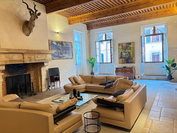 Grand Appartement Vieille Ville - Seynod