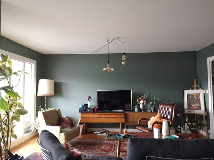 Chambre Dans Un Appart Lumineux - Grenoble