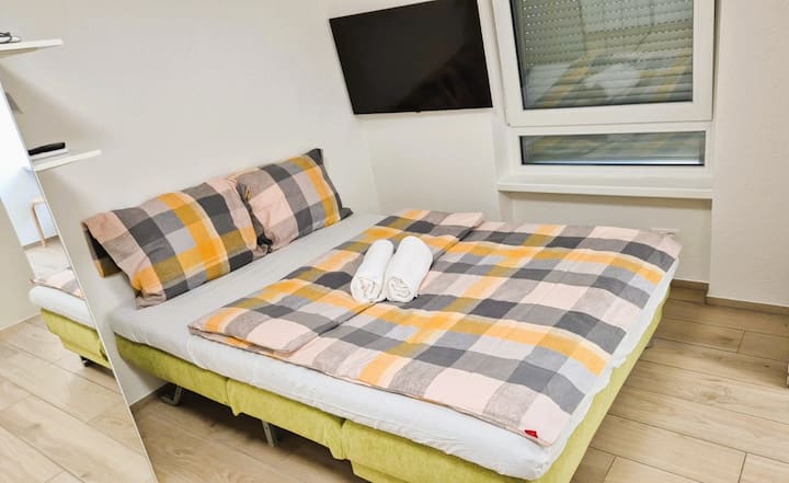 Zurich Stay: Cozy Studio + Free Parking! - Zúrich