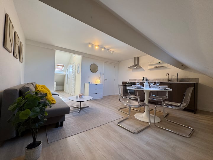 Superbe Duplex Meublé - Flagey - Bruselas, Bélgica