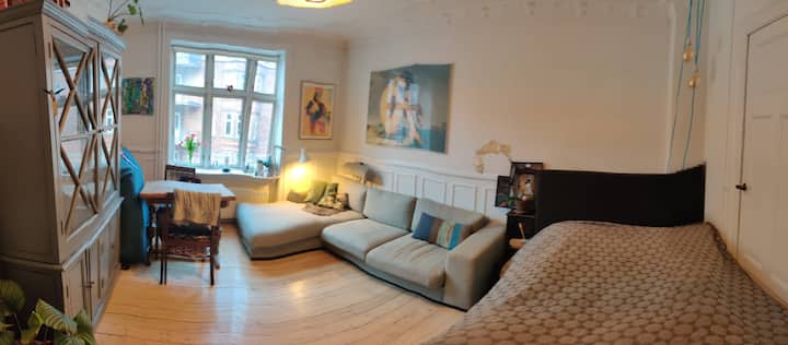 Nice & Cozy Near City Center - Copenhague
