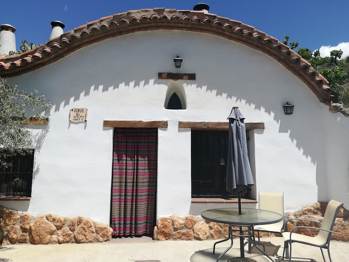 Cueva El Olivo - Guadix