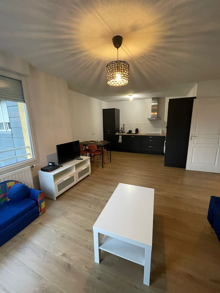 Appartement - Grenoble, France - Grenoble