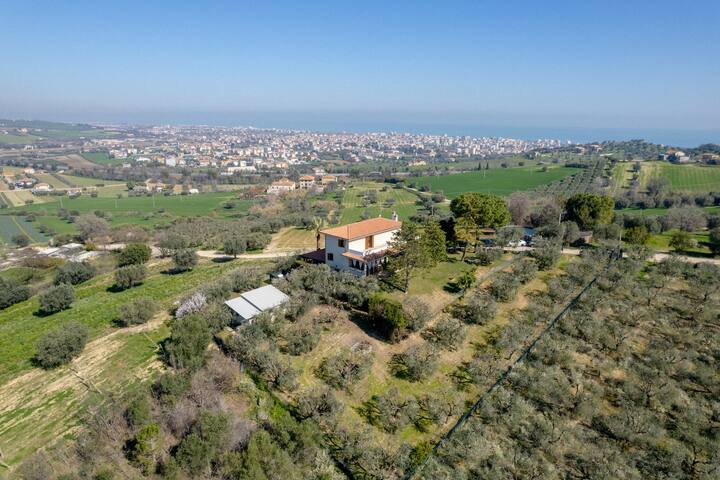La Casa Di Ernino - Alba Adriatica