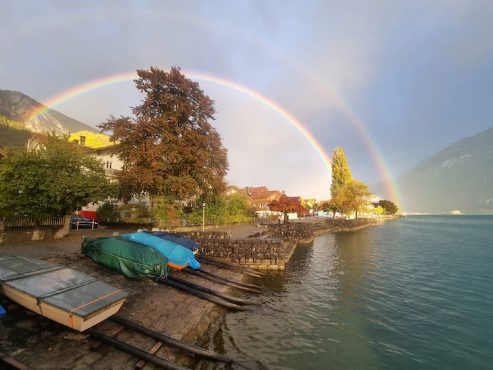 2,5 Zimmer, Art Residence - Brienz