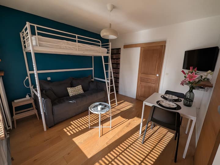 Studio Aix Les Bains - Aix-les-Bains