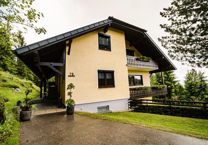 Gießlhütte
Appartement B - Wolfsberg