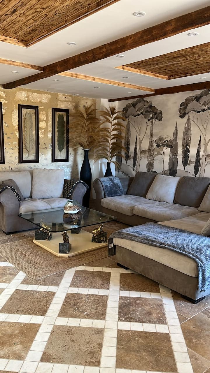 Villa Blanche- En Camargue - Saint-Martin-de-Crau