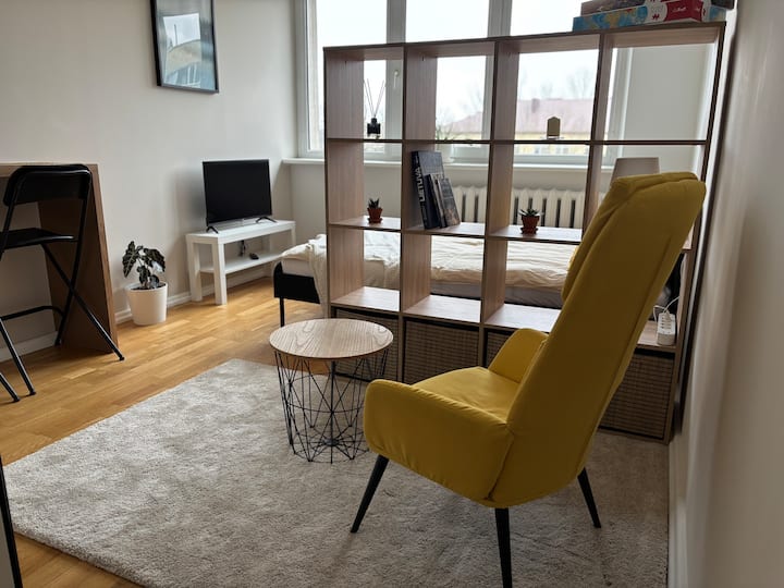 Maslow Apartments - Self Checkin - Vilnius