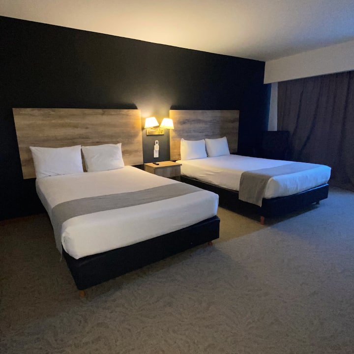 Premium-2 Cam+box(base Triple) - Dolores