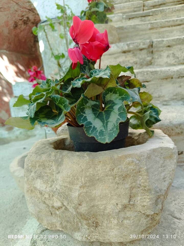 Giatrelos House 3 Km From Shipwreck - Zakynthos