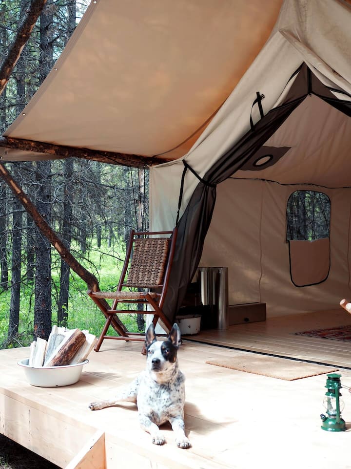 Wild Bear Glamping Tent Near Glacier Np - Montana