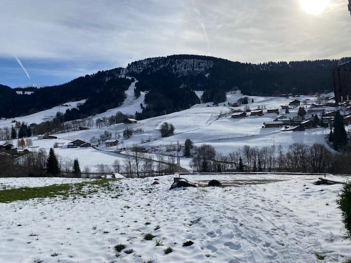 Studio 4 Personnes Praz-sur-arly - Praz-sur-Arly