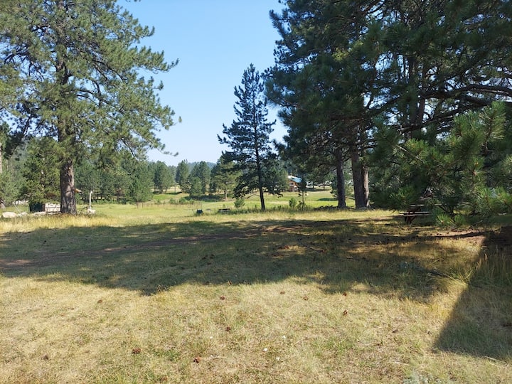 Site A: 30/50/110 Amp, H2o, Dump Station, Level - Custer, SD