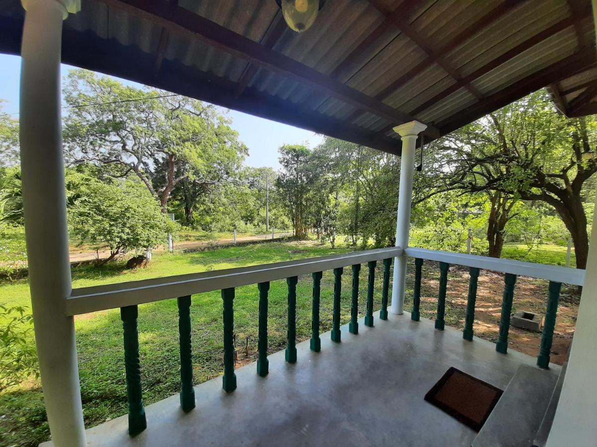 Sri Lanka wildlife Safari - Cabins for Rent in Moneragala, Uva Province ...