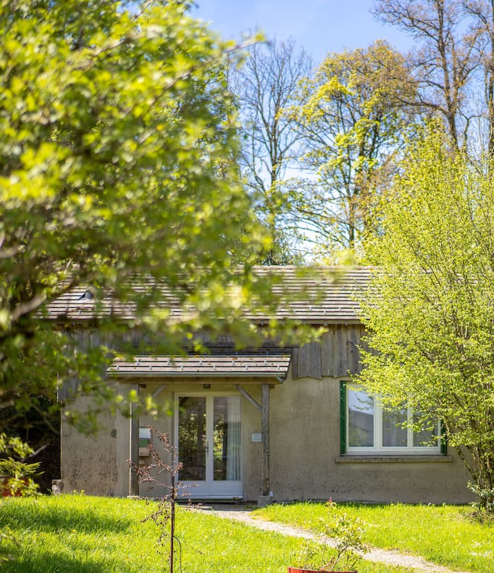 Gîte Cosy En Pleine Forêt Avec Piscine - La Salvetat-sur-Agout
