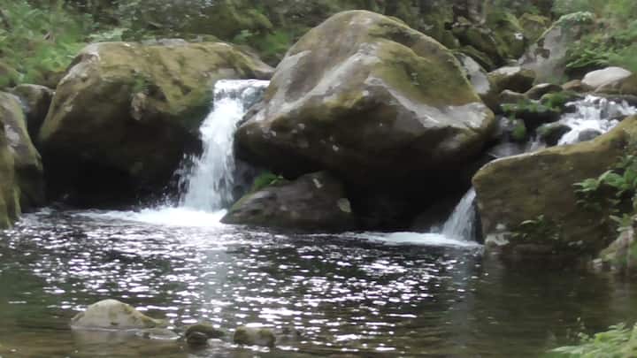 Ecoaldea Vegana Com. Y Cena In. - Cabeceiras de Basto