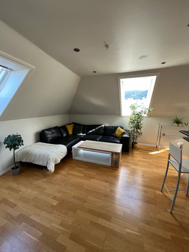Gorgeous Top Flat Central Bergen - Bergen