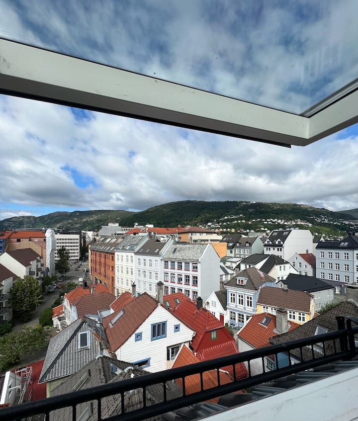 Gorgeous Top Flat Central Bergen - Bergen