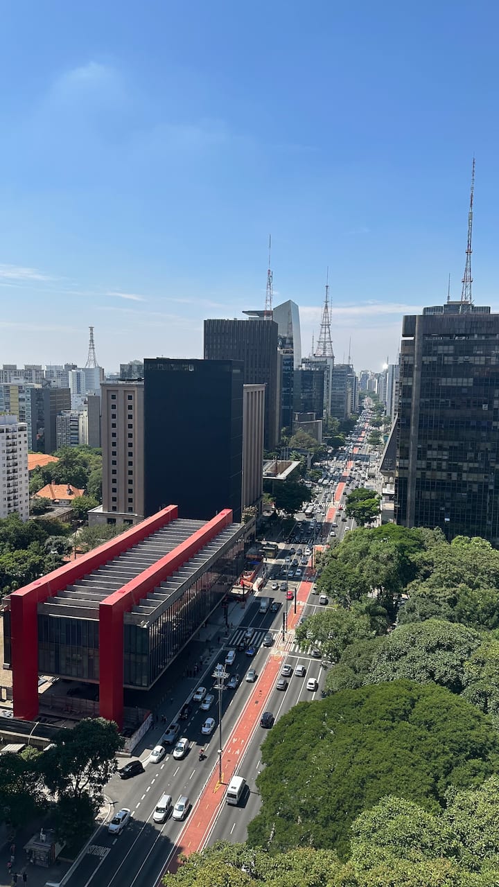 Av Paulista - Masp Loft / Vista ÚNica De Sp - São Paulo