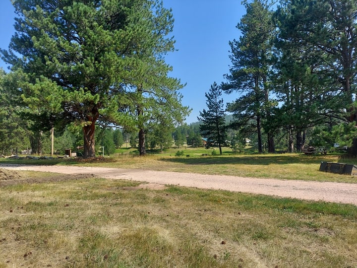 Site B: 30/50/110 Amp, H2o, Dump Station, Level - Custer, SD