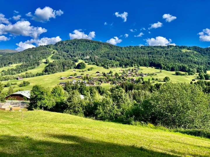 Appartement Vue Montagne - Praz-sur-Arly