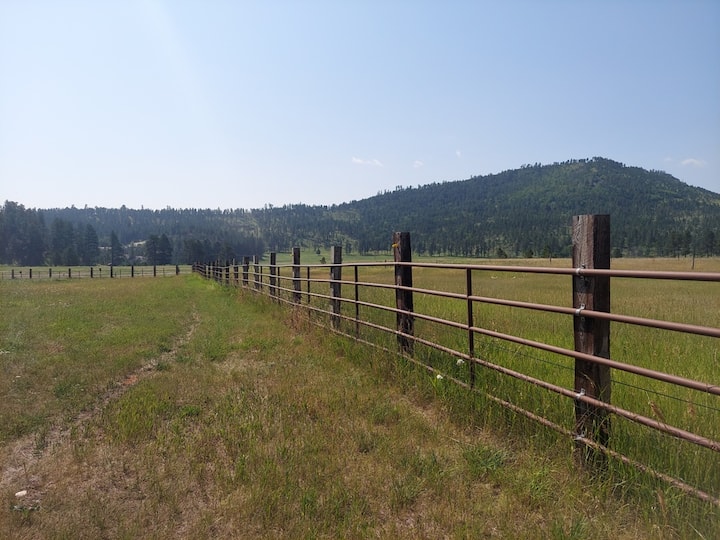 Site D: 30/50/110 Amp, H2o, Dump Station, Level - Custer, SD