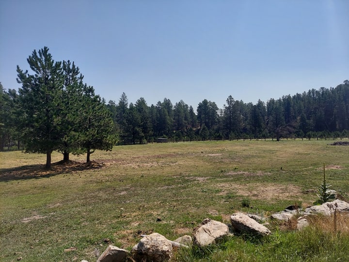 Site E: 30/50/110 Amp, H2o, Dump Station, Level - Custer, SD