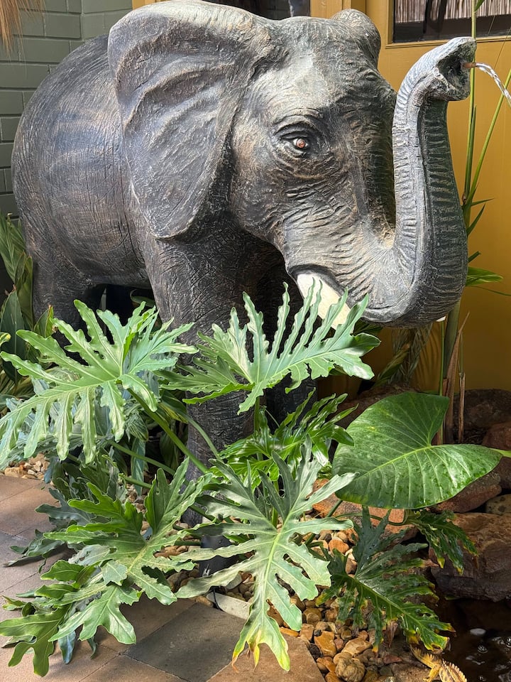 Amani Giraffe Room - Dubbo