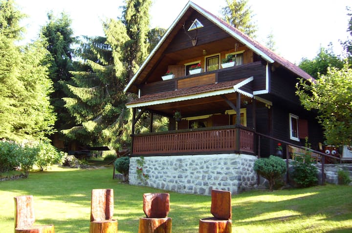 Uni-kom Forest Lodge - Gheorgheni