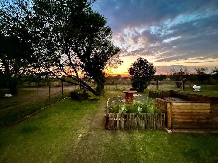 Le Petit Guesthouse - Bloemfontein