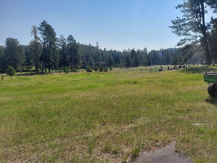 Site I: 30/50/110 Amp, H2o, Dump Station, Level - Custer, SD