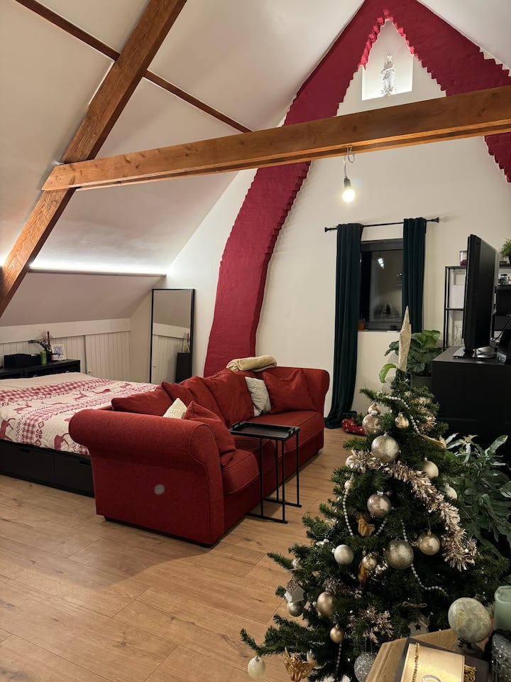 Ruime Studio Voor 2 Personen - Maarkedal