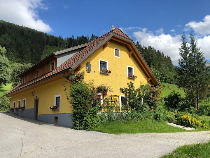 Bauernhof Idylle - Natur Pur - Spital am Pyhrn