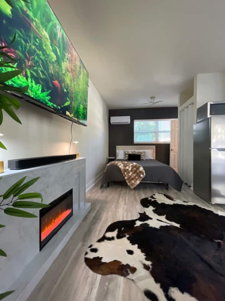 Mirror Lake Apartment - St. Petersburg, FL