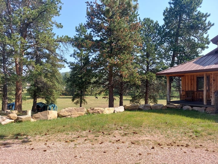 Site K: 30/50/110 Amp, H2o, Sewer, Level - Custer, SD