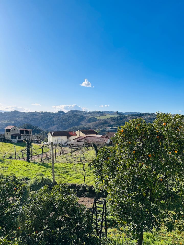 Casa Da Boavista - Amarante