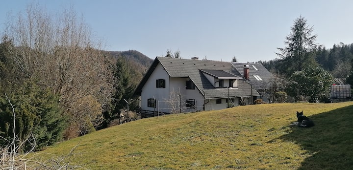 Apt Satya | Green Oasis | Therapy Option - Dobrna