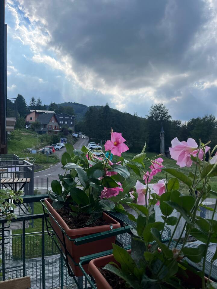 Appartamento Baita Del Sole - Sestola