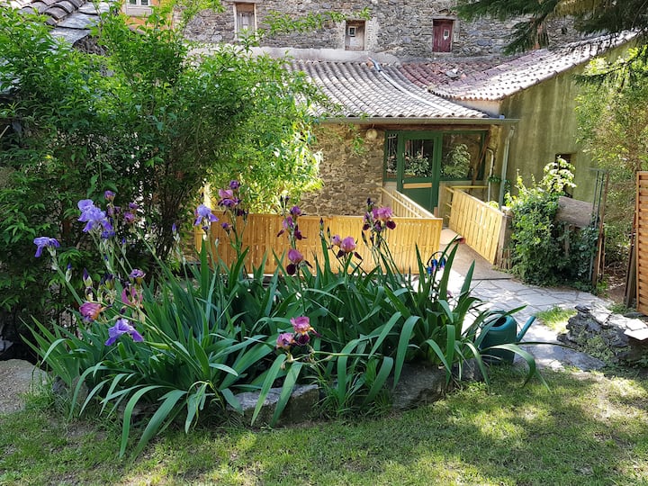 Gîte En Cévennes - Val D'aigoual - Valleraugue