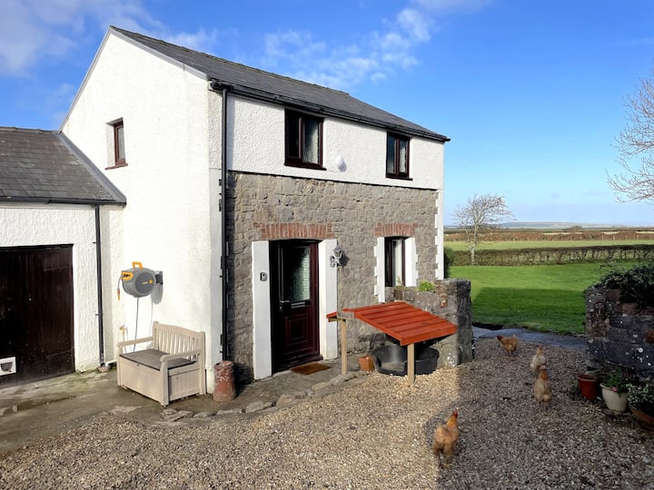 Countryside Cottage - Rhossili